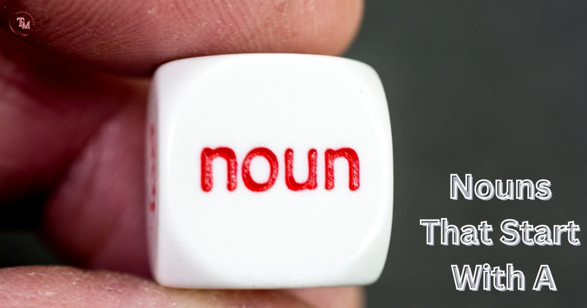 200+ Nouns That Start With A